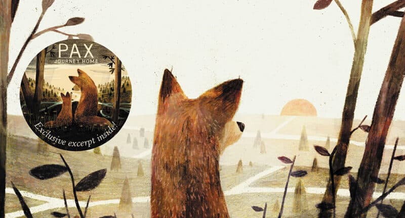 A Book, A Fox, A Boy And Love In A Frightening, Dystopian World | Belongly